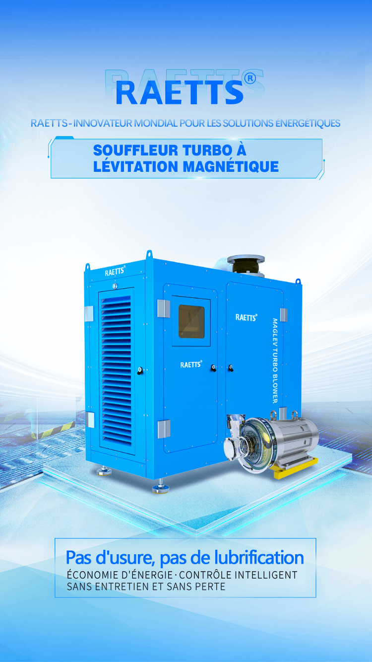 Versatile Blower Machine for Industrial Environments - RAETTS