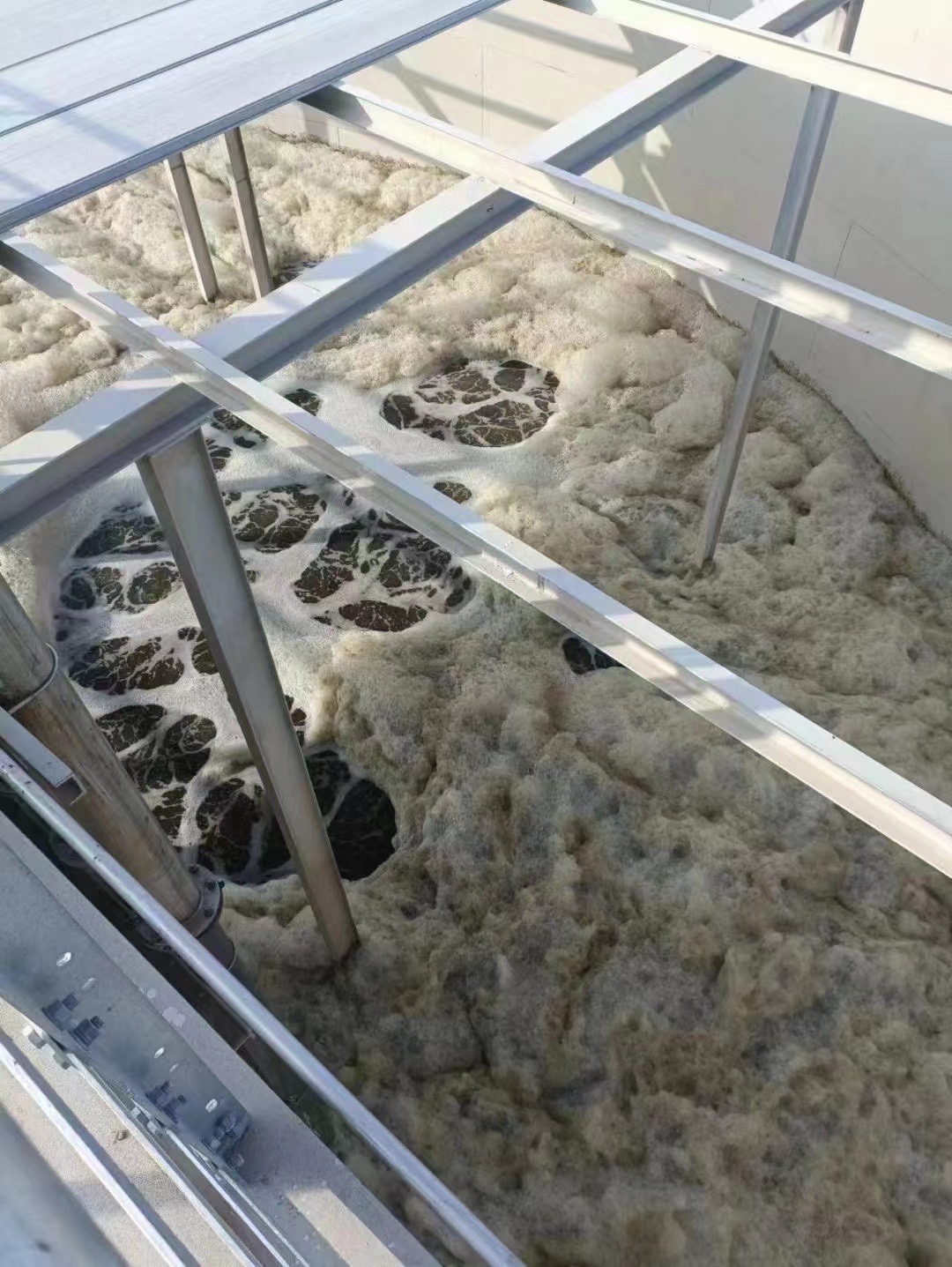 RAETTS airfoil bearing blower used for animal husbandry wastewater ...